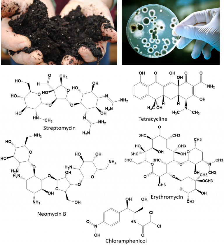 CH105: Chapter 6 – A Brief History of Natural Products and Organic ...