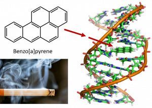 CH105: Chapter 8 – Alkenes, Alkynes and Aromatic Compounds – Chemistry