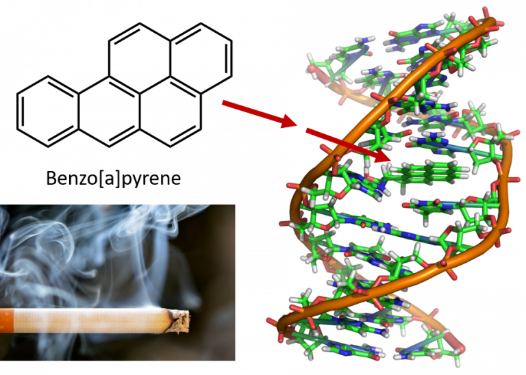 CH105: Chapter 8 – Alkenes, Alkynes and Aromatic Compounds – Chemistry