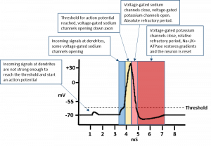 CH103 - CHAPTER 4: Ions and Ionic Compounds - Chemistry