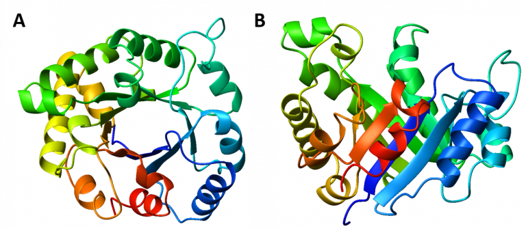 Chapter 2: Protein Structure - Chemistry