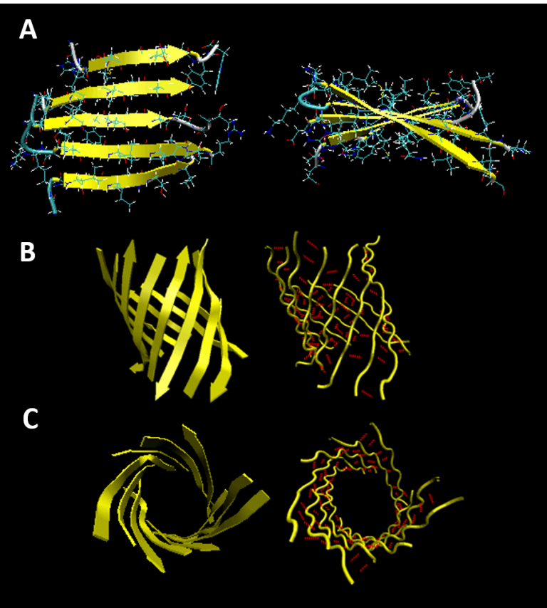 Chapter 2: Protein Structure - Chemistry