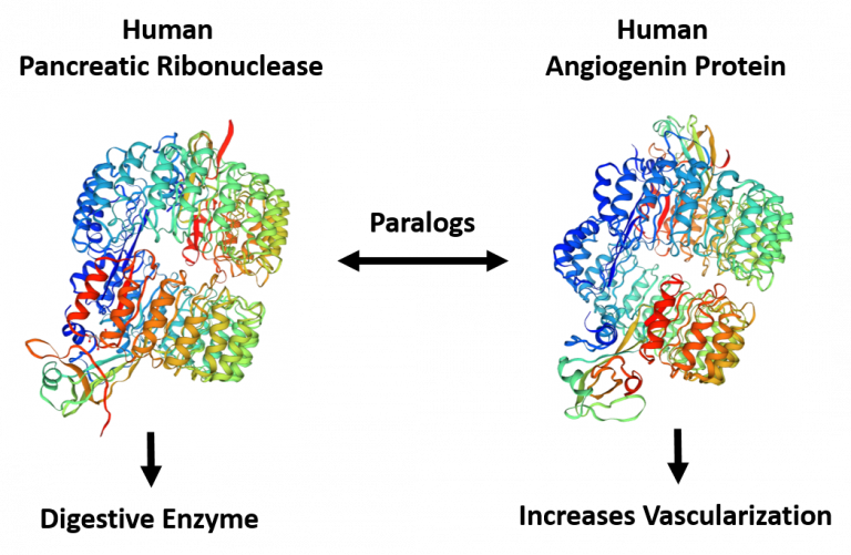 Chapter 1: The Foundations of Biochemistry - Chemistry