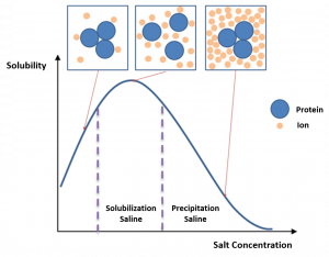 Chapter 3: Investigating Proteins – Chemistry