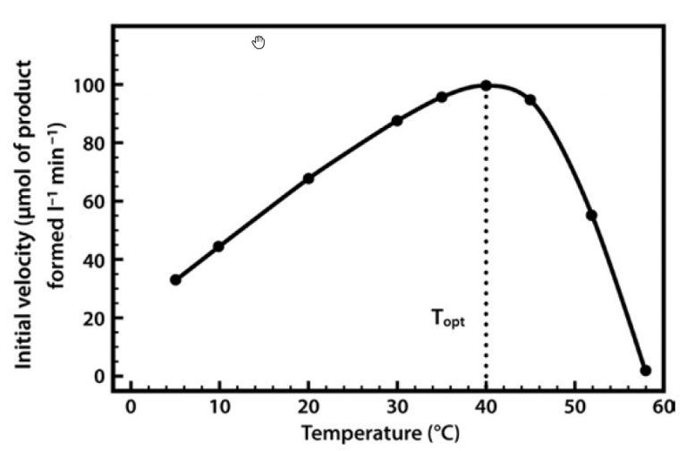 Chapter 6: Enzyme Principles and Biotechnological Applications - Chemistry