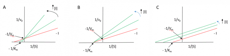 Chapter 6: Enzyme Principles and Biotechnological Applications - Chemistry