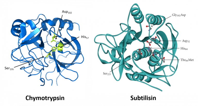 Chapter 7: Catalytic Mechanisms of Enzymes - Chemistry