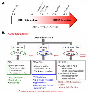 Chapter 8 – Protein Regulation and Degradation – Chemistry