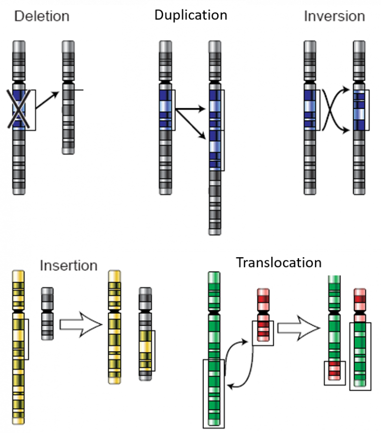 Chapter 12: DNA Damage and Repair - Chemistry
