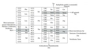 26.1: The Genetic Code - Biology LibreTexts