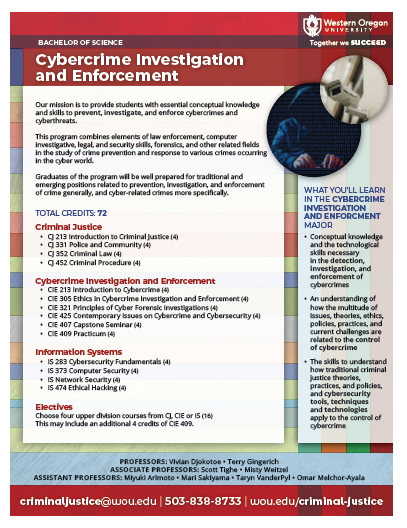 BS: Cybercrime Investigation and Enforcement - Criminal Justice ...