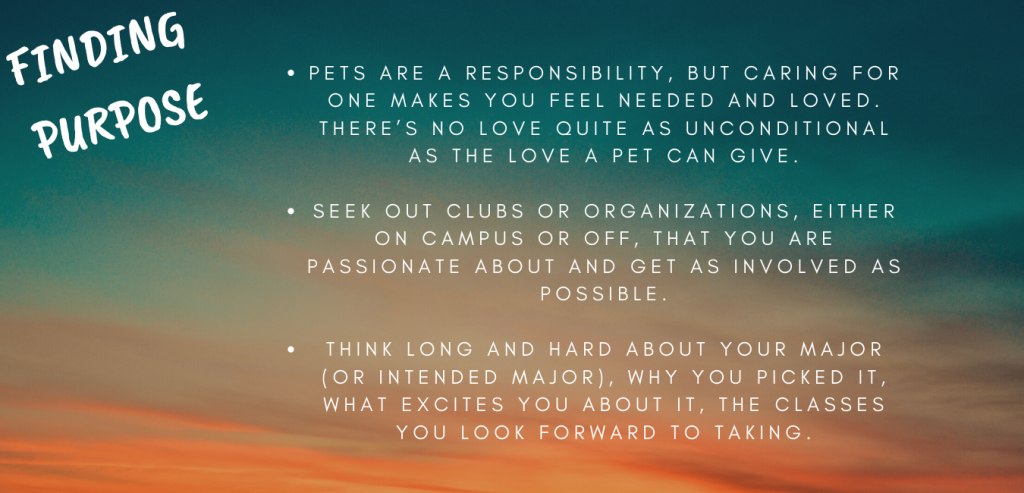 Finding Purpose - Student Health & Counseling Center