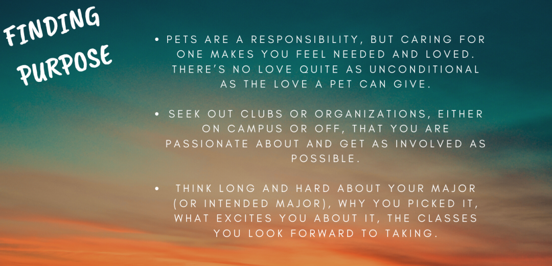 Finding Purpose - Student Health & Counseling Center