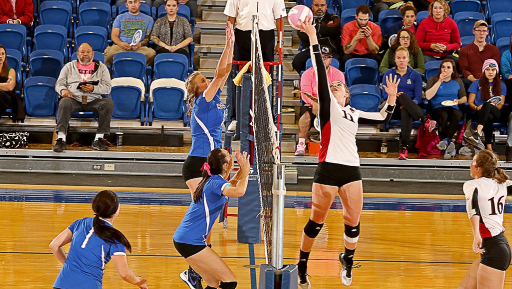 Wolves go north - The Western Howl