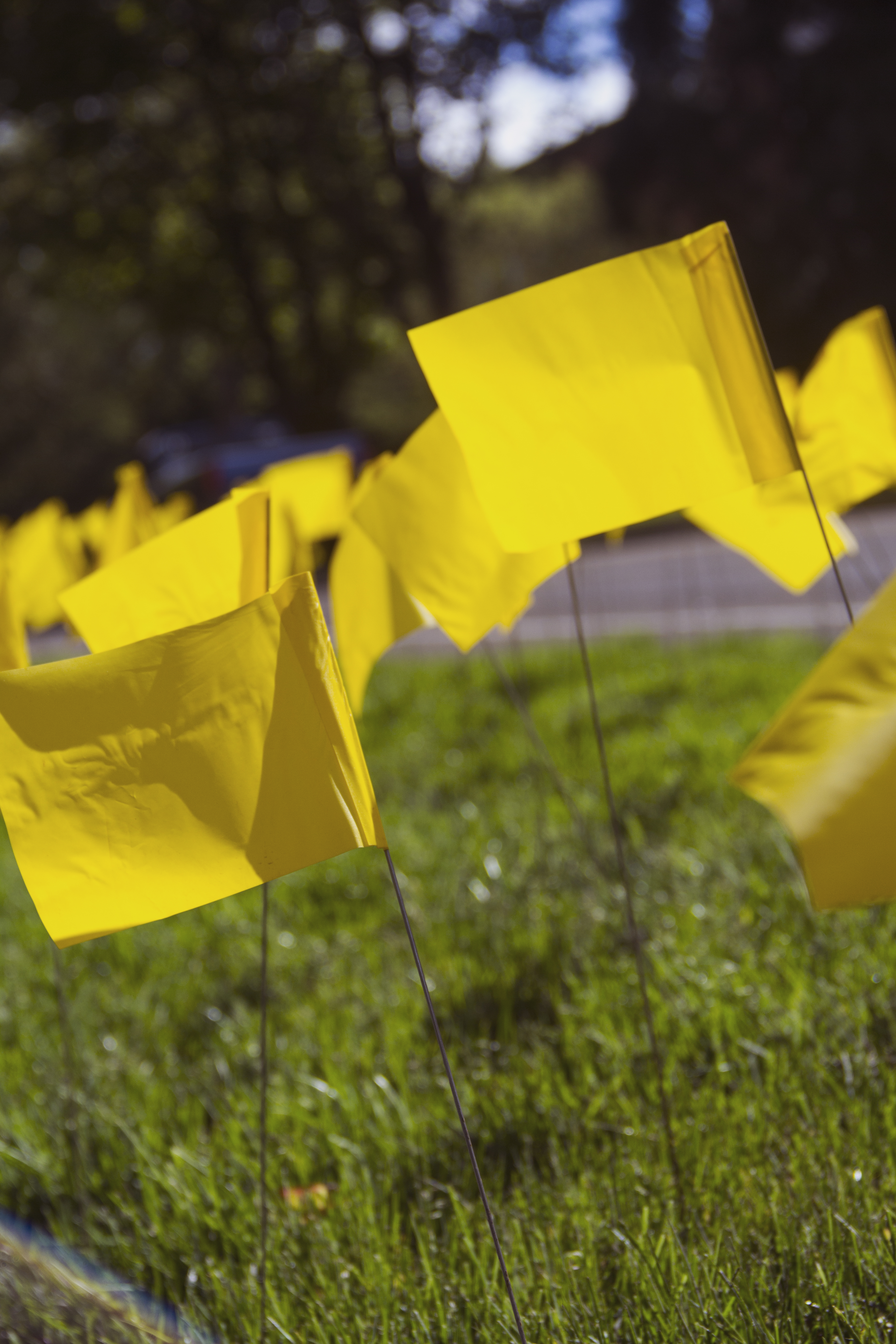 A time to remember and reflect – The Western Howl