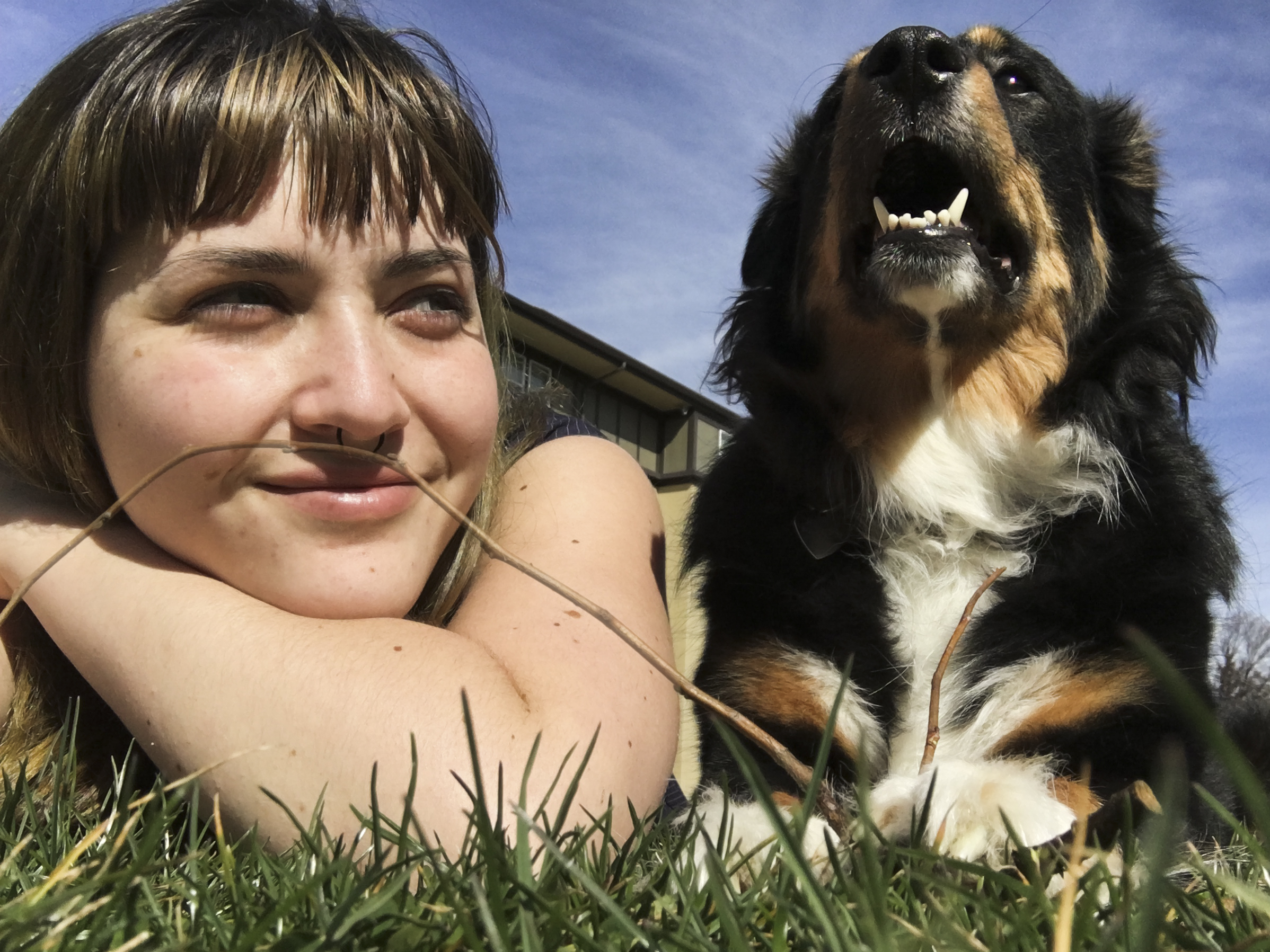 What to think about before adopting a pet – The Western Howl