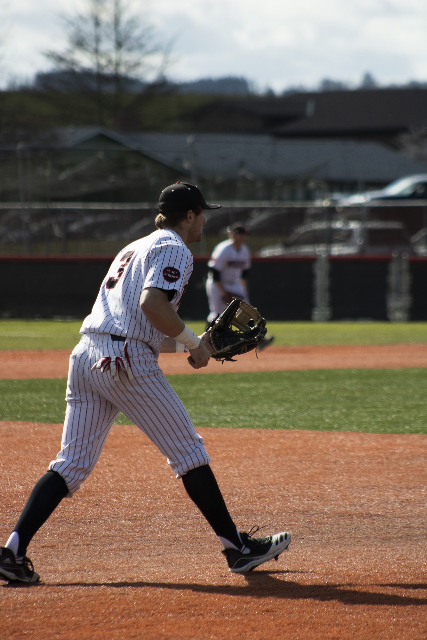 Men’s Baseball win two of their four home games - The Western Howl
