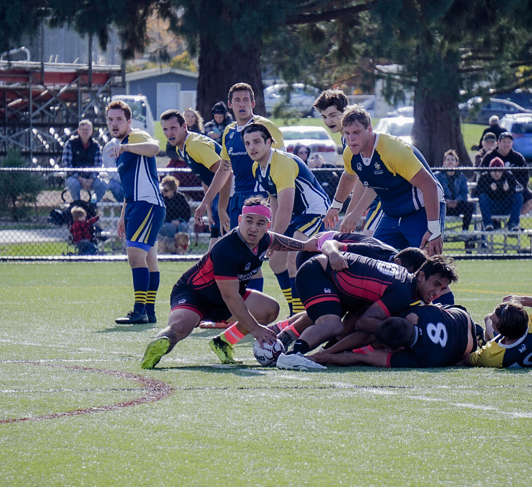 Leading by example, Club Sports Players of the Year - The Western Howl