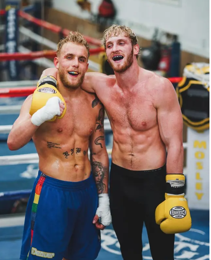 From influencer to boxer - The Western Howl